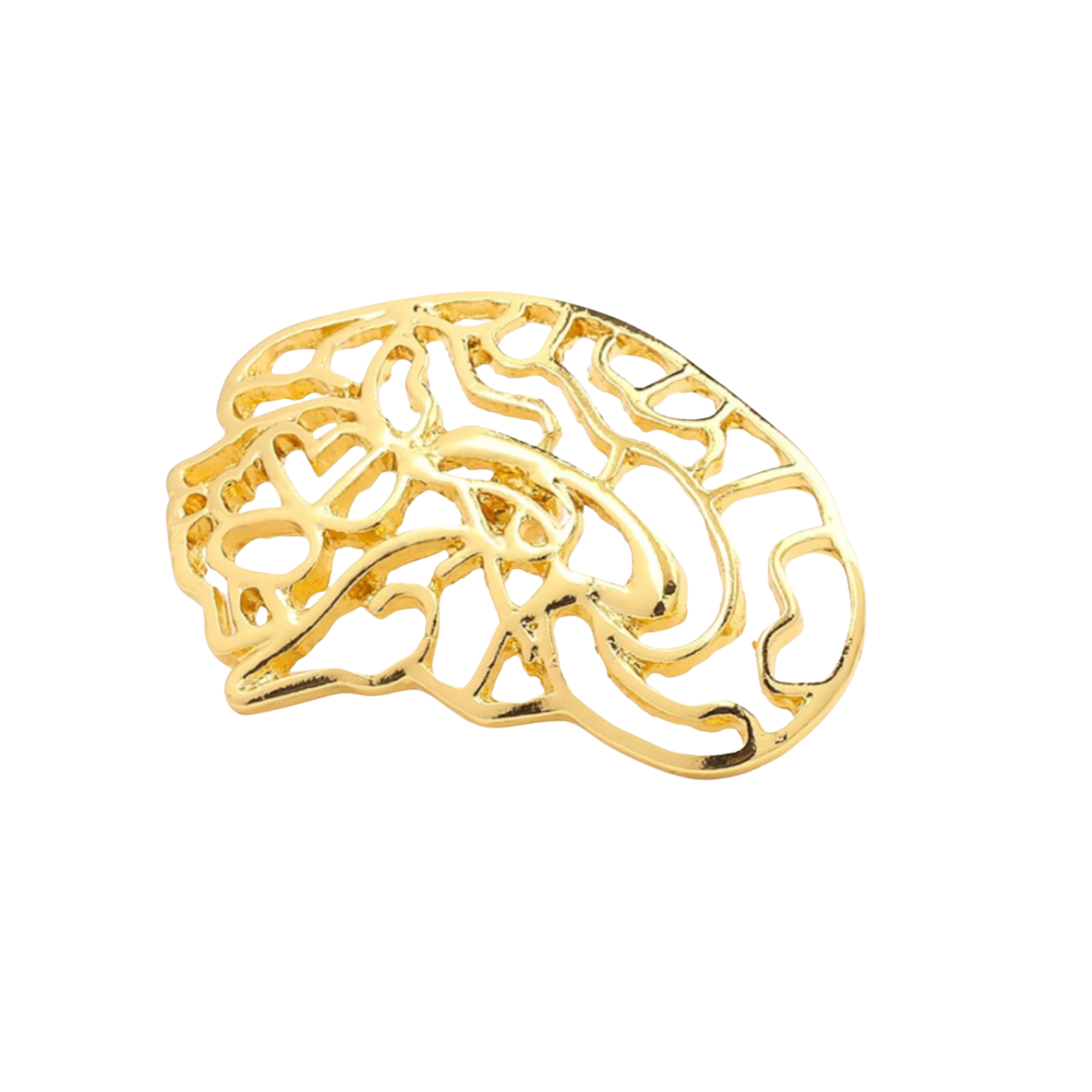 Neuroscience Neurology Graduation Medical Nursing Student Brain Pin ...