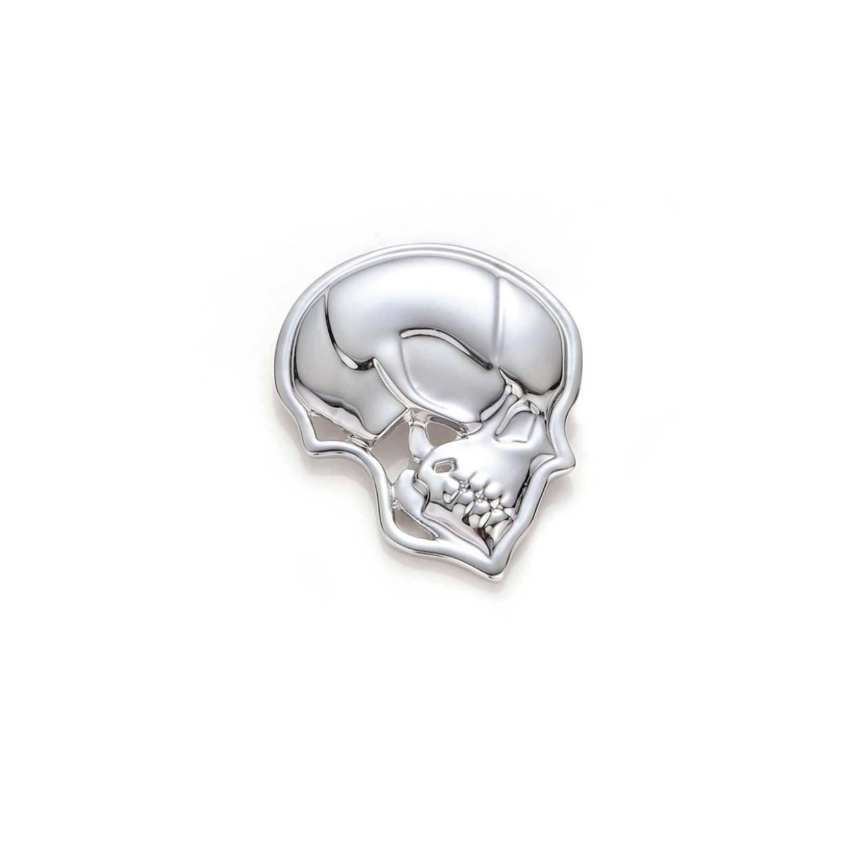 Skull Bone Anatomy – Delicate Charms
