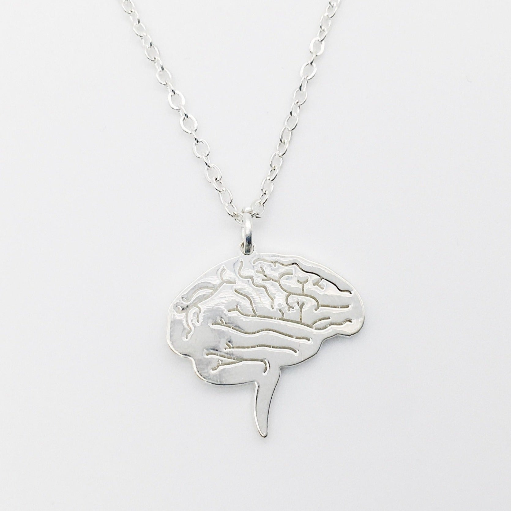Brain Anatomy – Delicate Charms