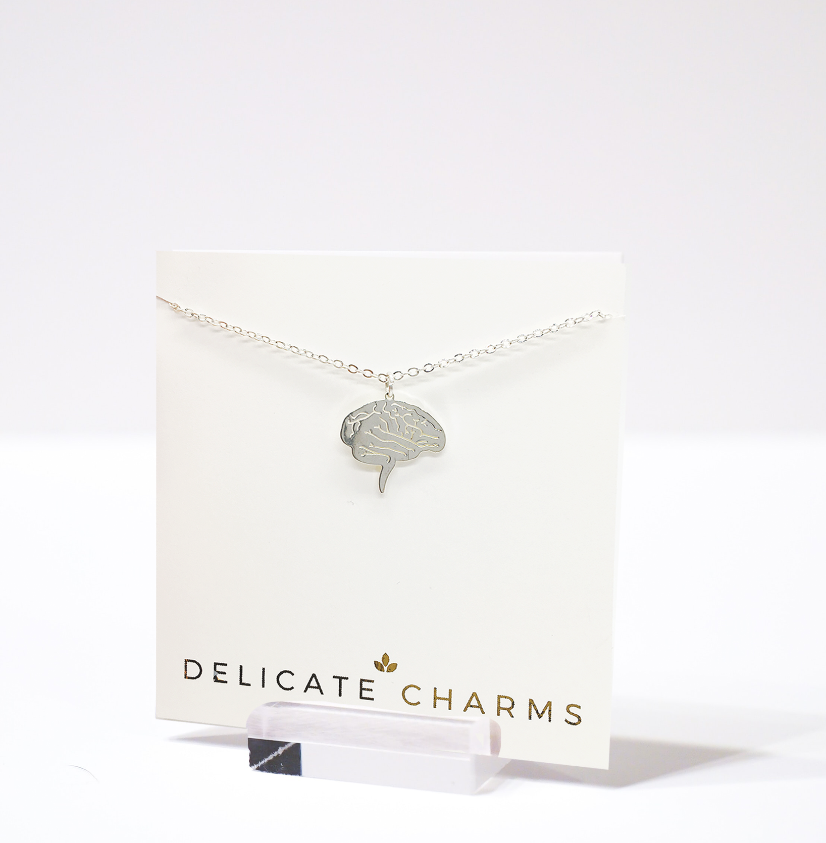 Brain Anatomy – Delicate Charms