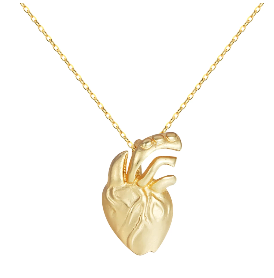 Heart Anatomy – Delicate Charms