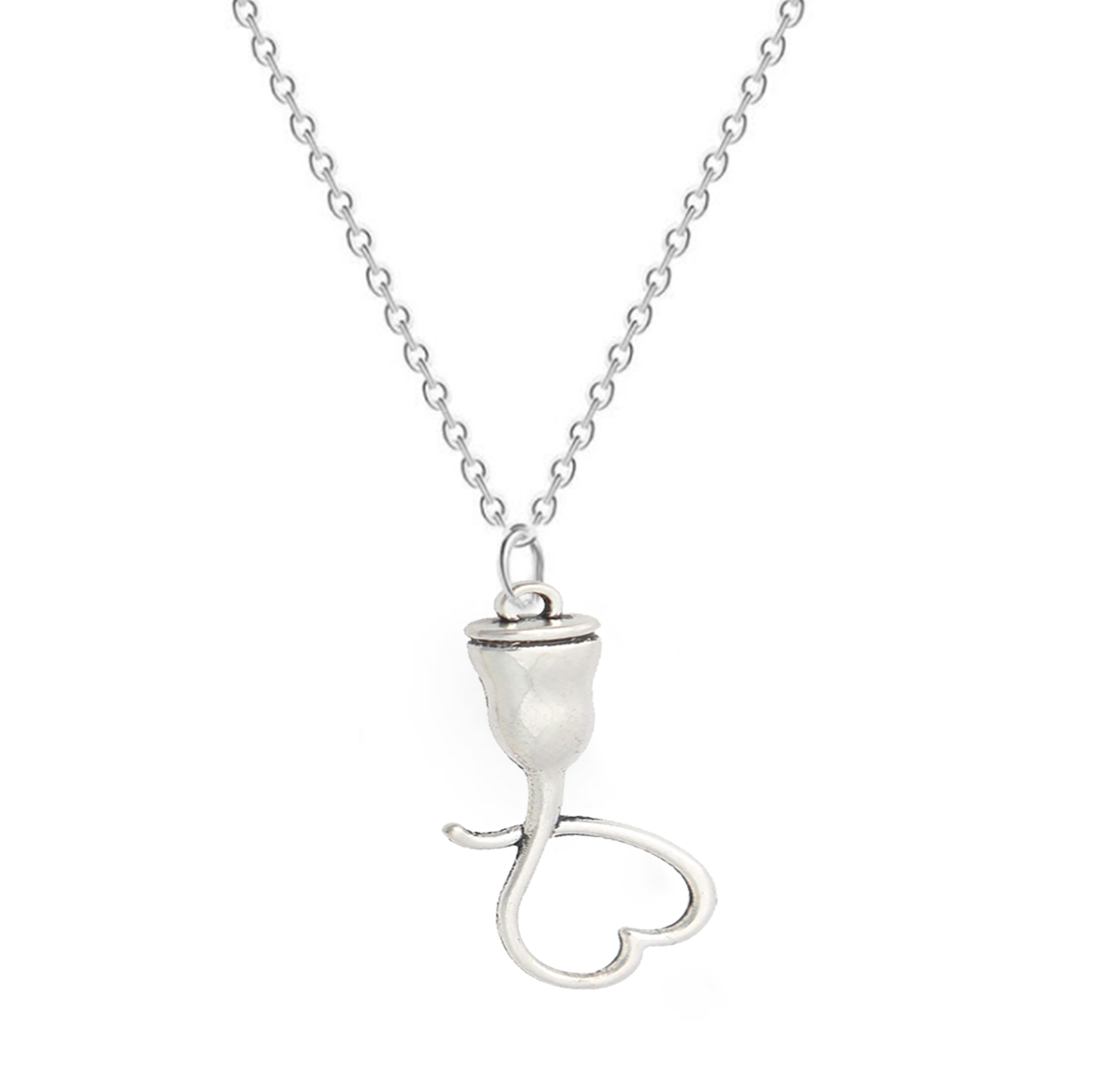 Ultrasound sonogram – Delicate Charms